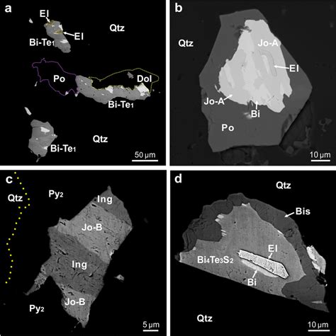 Representative Bse Images Showing The Occurrences Of Multiphase Bi Te1 Download Scientific