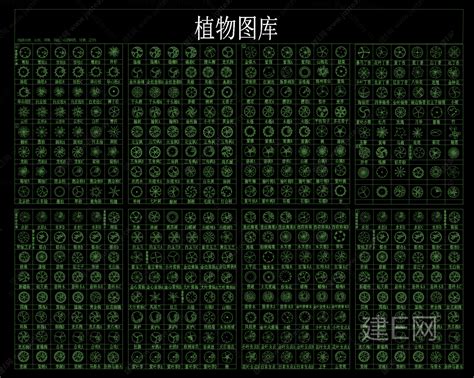 植物图库 Cad施工图施工图下载 施工图植物图库 Cad施工图下载 施工图植物图库 Cad施工图免费下载 建e室内设计网