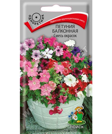Петуния Балконная: описание сорта, характеристики, тонкости посадки и ...