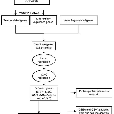 The Flowchart Of This Study GSE Gene Expression Omnibus GEO Series Download Scientific
