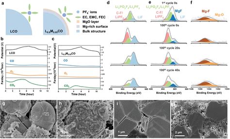 2023 潘锋教授课题组