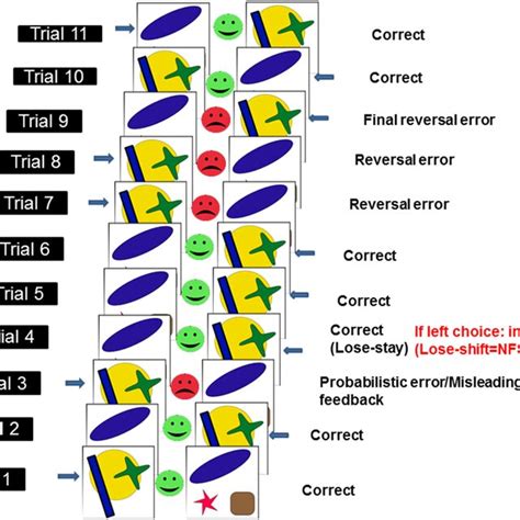 Schematic Illustration Of Probabilistic Reversal Learning Task Prl