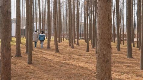 Xiao Lin Watch Online Gagaoolala Find Your Story