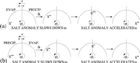 Schematic Representation Of The Time Evolution Of Salinity Anomalies