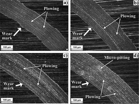 Sustainable Xanthophylls Containing Polyε Caprolactones Synthesis Characterization And Use