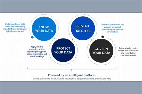 Comprehensive Guide To Microsoft Purview Data Governance Collective