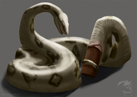 Rule 34 1girls 2018 Animal Genitalia Blush Boa Snake Boa