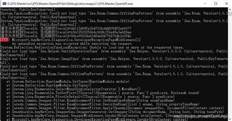 Net Core未能加载程序集解决办法无法加载程序集确保他被启动项目 Efcore”引用。 Csdn博客