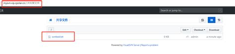 windows系统如何安装与使用tortoisesvn客户端，并实现在公网访问本地svn服务器 svn 客户端 csdn博客