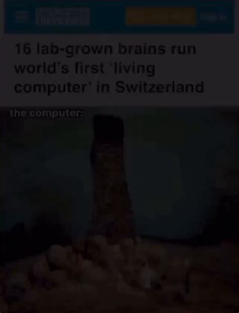 16 Lab Grown Brains Run Worlds First Living Computer In Switzerland The Computer Ifunny