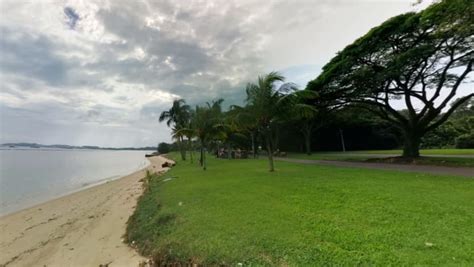 Pasir Ris Beach Deemed Safe For Swimming After Water Quality Improves Cna