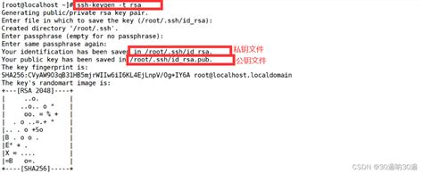 ssh远程访问及控制 ssh访问 csdn博客