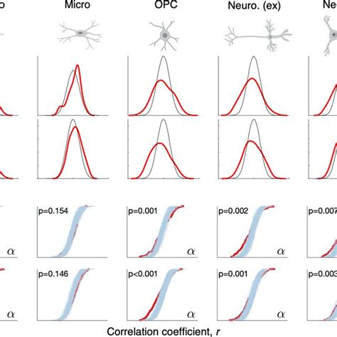 Association Between Cell Type Specific Gene Expression Patterns And Cth