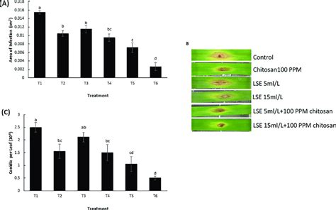 Effect Of Ascophyllum Nodosum Extract Lse And Chitosan On Wheat Leaf Download Scientific
