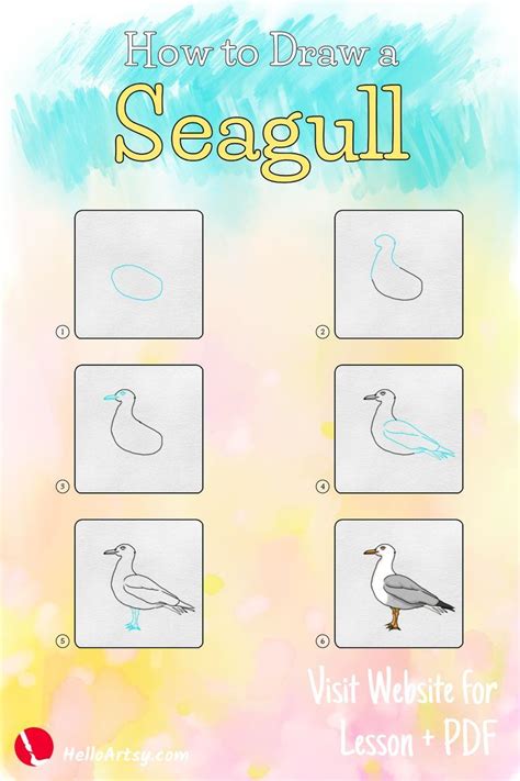 How To Draw A Seagull 6 Step Drawing Lesson For Beginners Drawing Lessons Drawing Lessons