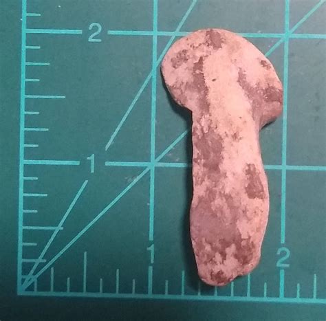Small Mammal Calcaneus Back Measurement Member Collections The Fossil Forum