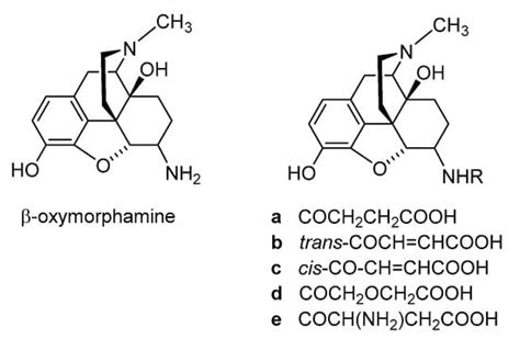 Peripheralization Strategies Applied To Morphinans Encyclopedia Mdpi