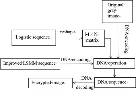 Novel Image Encryption By Combining Dynamic Dna Sequence Encryption And