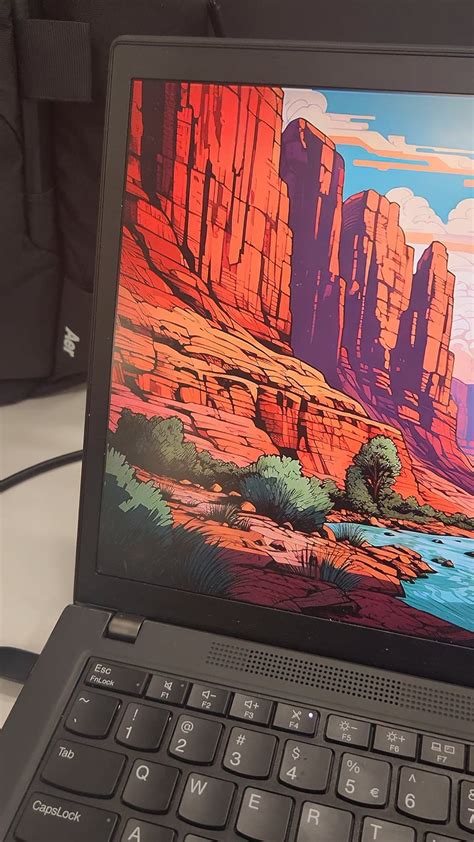 Display Going Nuts R Thinkpad