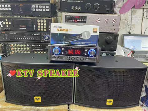 Kevler Xcite 8 Vsx 203 8inch Karaoke Speaker System With Free Platinum Microphone Dm 6000