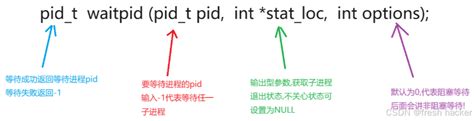 【linux进程控制】进程终止、进程等待如何用linux使用系统调用终止进程 Csdn博客