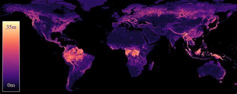 Estimating Canopy Height At Scale Ai Research Paper Details