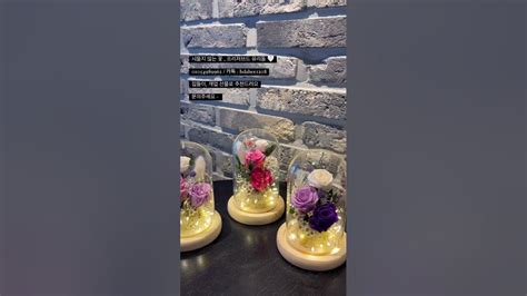 시들지 않는 꽃 프리저브드 플라워 유리돔 프리저브드유리돔 Youtube