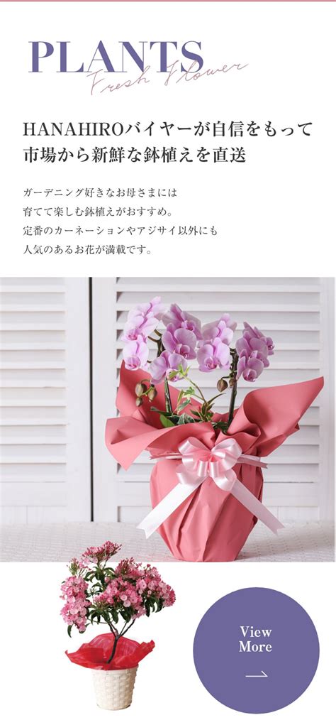 花・フラワーギフト Hanahiro｜online Shop 母の日特集