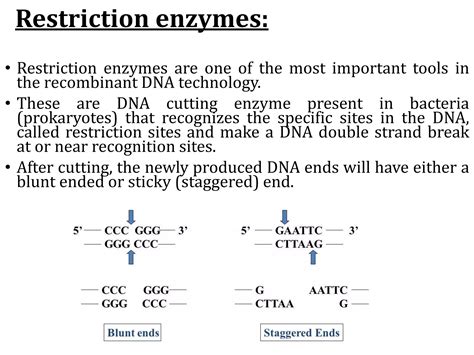 Restriction Mapping Pdf