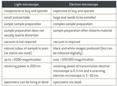 What Are The Differences Between Light Microscope And Electron