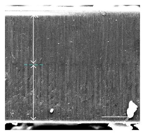 The Cross Sectional SEM Images Of Ae The Al2O3 Nanotube Layers With Download Scientific