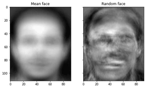 Face Recognition Using Principal Component Analysis