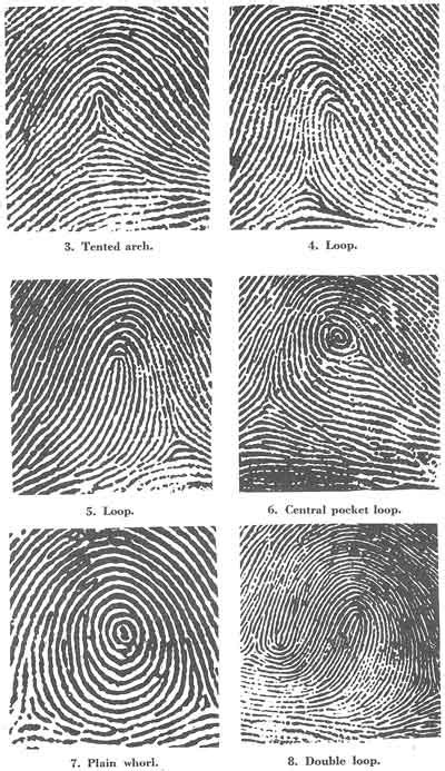 Types And Classification A Match Made In Heaven A Turning Point In