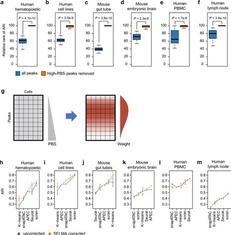 Selma Bias Correction Model Improves Single Cell Atac Seq Cell Download Scientific Diagram
