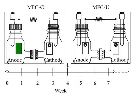 Schematic Representation Of The Mfc C And Mfc U Reactors And The Download Scientific Diagram