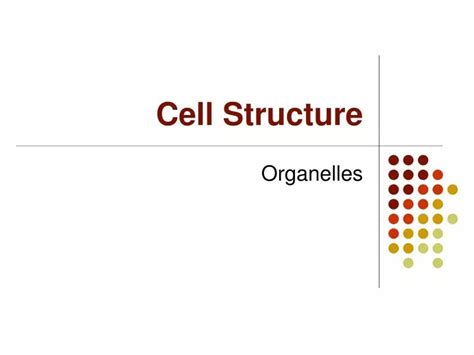 PPT Cell Structure PowerPoint Presentation Free Download ID 5484651