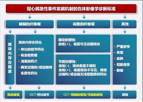 遵义会丨候静波教授解读oct在冠脉介入诊疗的中国专家共识 医谱