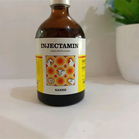 Jual Suplemen Multivitamin Injeksi Injectamin Sanbe 100ml Un