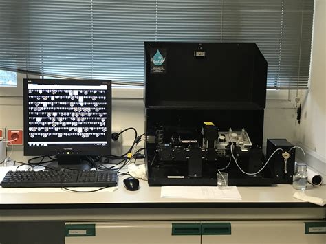 Parts Of The Project Parasitoid Dinoflagellate Interactions Of Mallorca