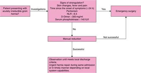 European Hernia Society On Linkedin Update Of The International