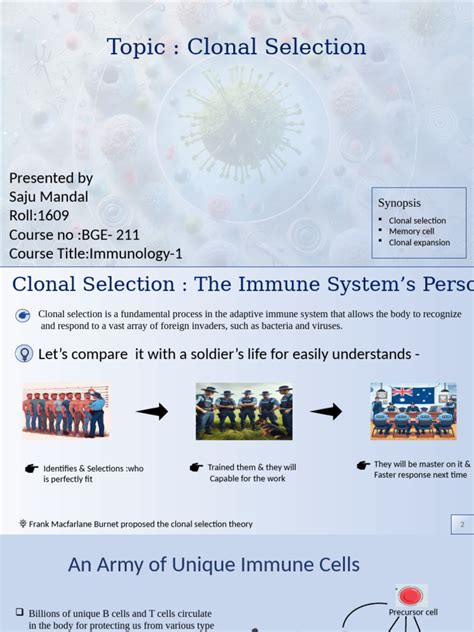 Clonal Selection Pdf Immune System Antigen