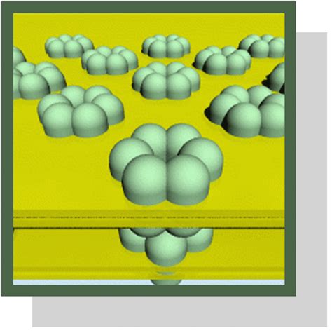 Jonctions Communicantes Définition Et Rôles Biologiques Nutrixeal Info