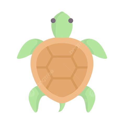거북이 벡터 거북이 만화 남생이 Png 일러스트 및 벡터 에 대한 무료 다운로드 Pngtree