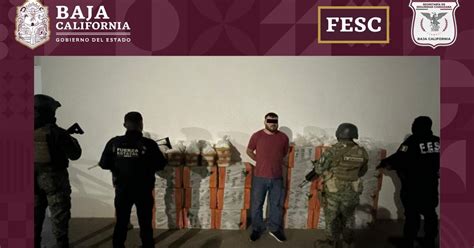 Golpe Al Narco Decomisan Más De Media Tonelada De Metanfetamina En