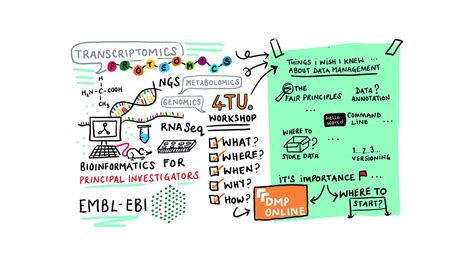Embl Ebi Bioinformatics For Principal Investigators 4turesearchdata