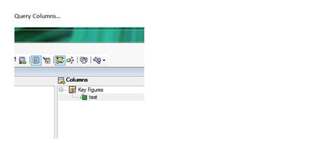Solved Bex Customer Exit Variable Sap Community