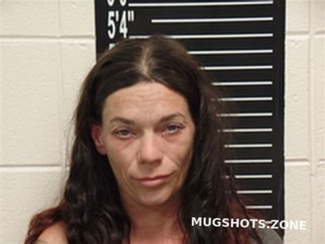 Donna Lynn Shepard 04062024 Stone County Mugshots Zone