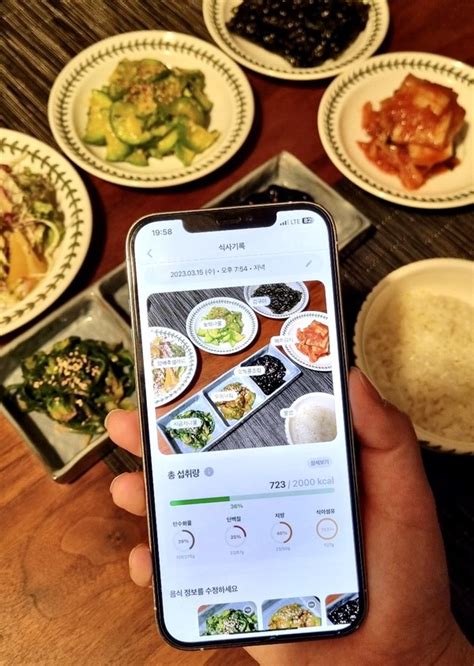 사진으로 영양정보를ai·데이터 기반 식단 관리 프로그램 등장