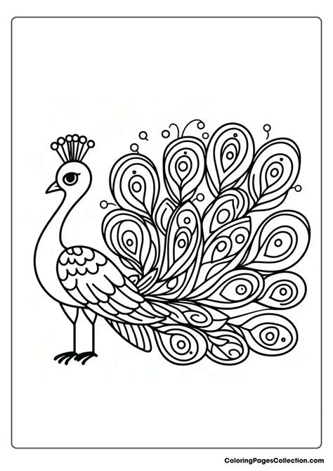 Peacock Coloring Pages 100 Free Printable