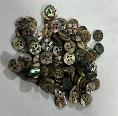 Multicolor Round Abalon Shell Button At ₹ 3 Piece In New Delhi Id 2852694871662